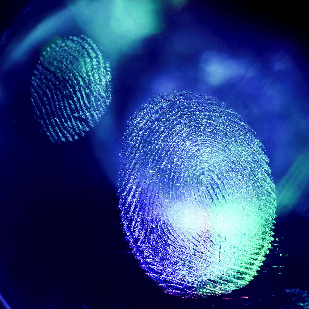 Cybersecurity & Digital Trust - Bluebik