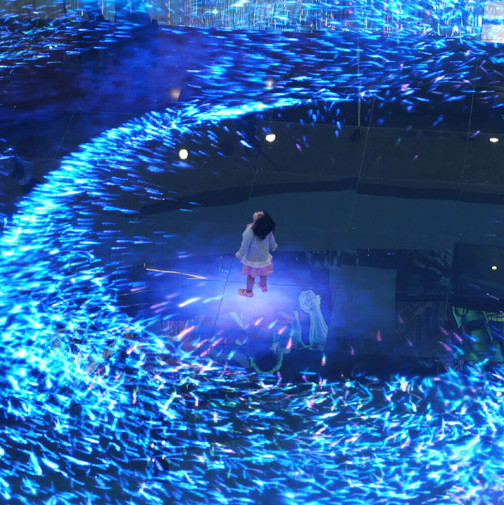 Experience Design - Bluebik