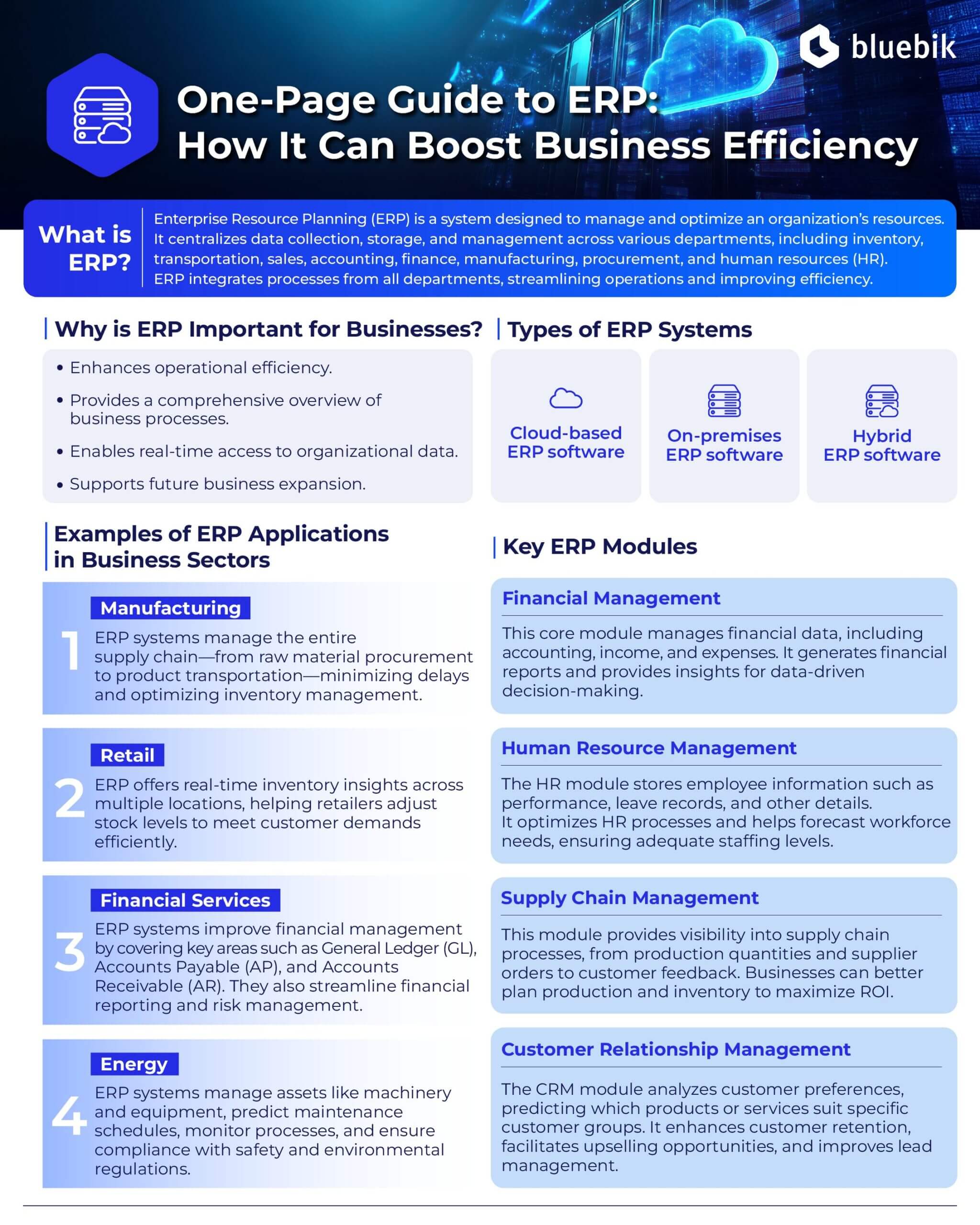 What is ERP, and How Does It Boost Business Efficiency? - Bluebik