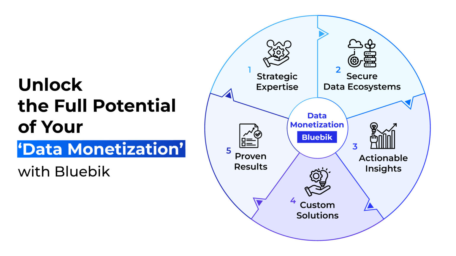 Data Monetization: Unlocking Value in the Digital Ecosystem - Bluebik